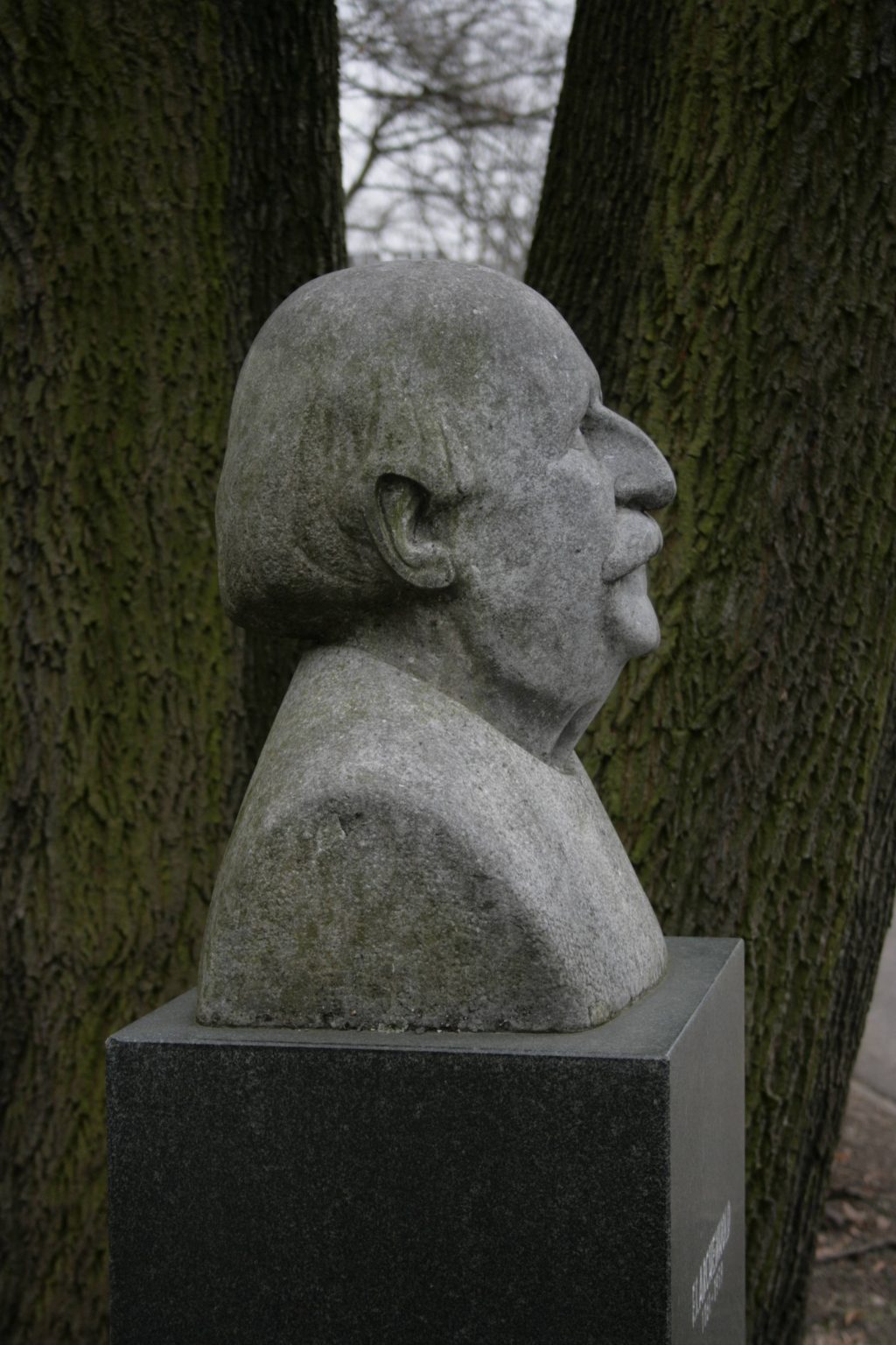 Büste Friedrich Simon Archenhold – Bildhauerei in Berlin